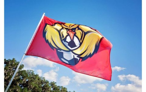 20 School Spirit Merchandise Ideas - FutureFund